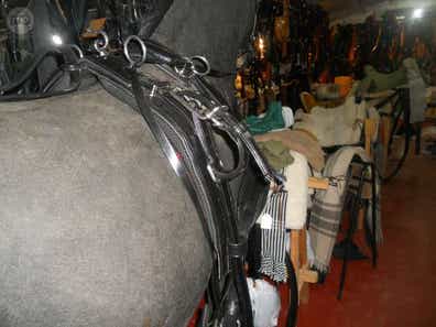 Guarnicion Carruajesse segunda mano . Compra venta de coches de ...