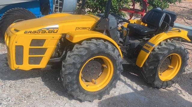 Milanuncios - Pasquali - Ergo 580 80 CV