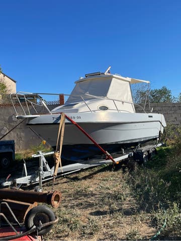 Milanuncios - Playamar Fisher 600 Cabin + remolque