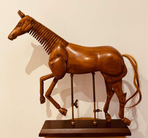 Milanuncios - Modelo Anatomico y Articulado de Caballo