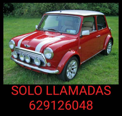 Milanuncios - ALETINES MINI CLASICO SPORT PACK