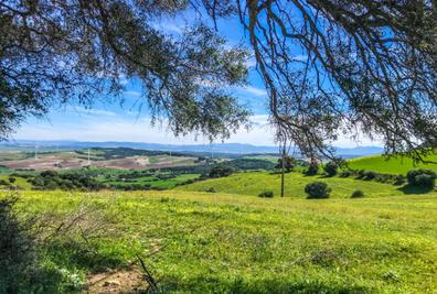 Milanuncios - Terreno 110.000 m². La Muela