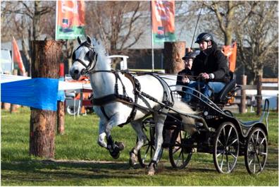 Guarnicion Carruajesse segunda mano . Compra venta de coches de ...