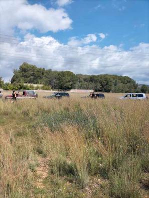 Milanuncios - monitor quad/buggy