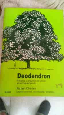 Deodendron | Milanuncios