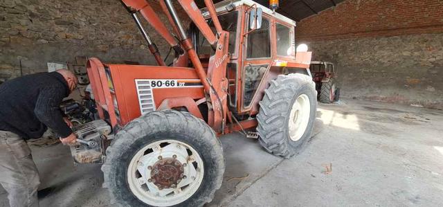 Milanuncios - BUSCO TRACTORES FIAT 80-66,70-66 70-56