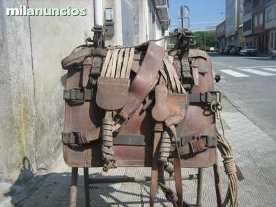 Mulas en venta | Milanuncios