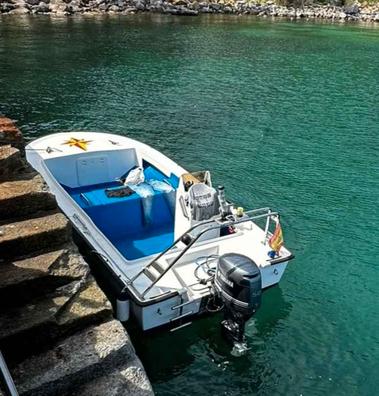 Planeadoras de segunda mano | Milanuncios