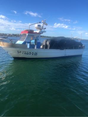 Planeadoras de segunda mano | Milanuncios