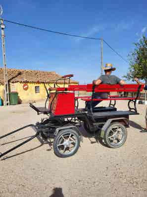 Jardinera Carruajesse segunda mano . Compra venta de coches de caballos ...