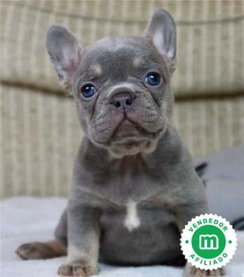 Segunda mano en Madrid Provincia | Milanuncios