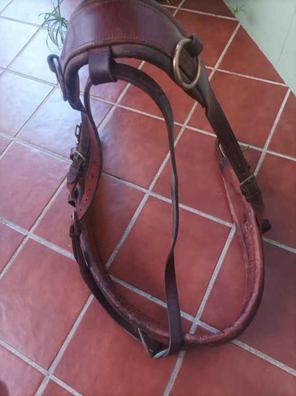 Arreos pecherin | Milanuncios