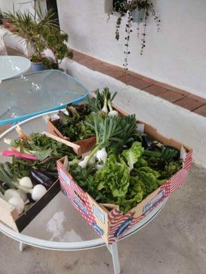 Milanuncios - verdura ecológica