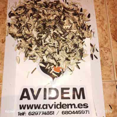 Pipas granel | Milanuncios