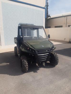 Buggies 4x4 de segunda mano y ocasión | Milanuncios