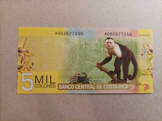 Milanuncios - Billete de Costa Rica de 5000 colones,sc