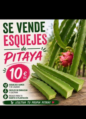 Milanuncios - esquejes de pitada