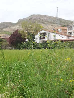 Alquiler habitacion en tudela Inmobiliaria, comprar, vender o alquiler ...