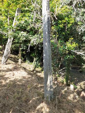 MILANUNCIOS | Postes telefono. Anuncios para comprar y vender de ...