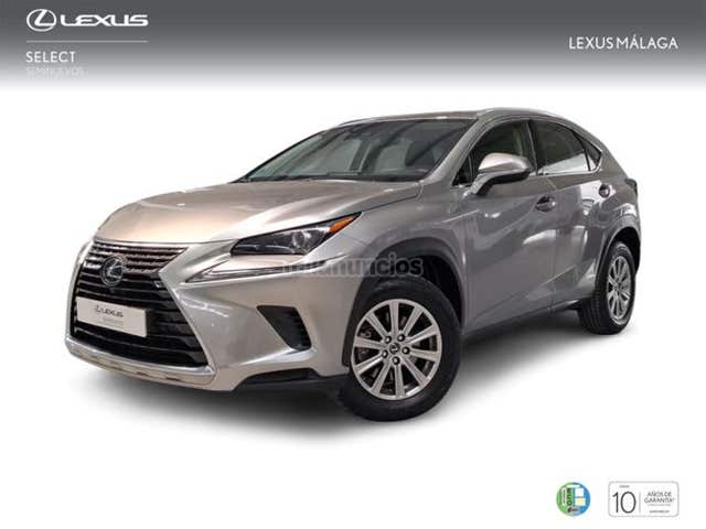 Milanuncios - LEXUS NX 2.5 300h Business Navigation 2W