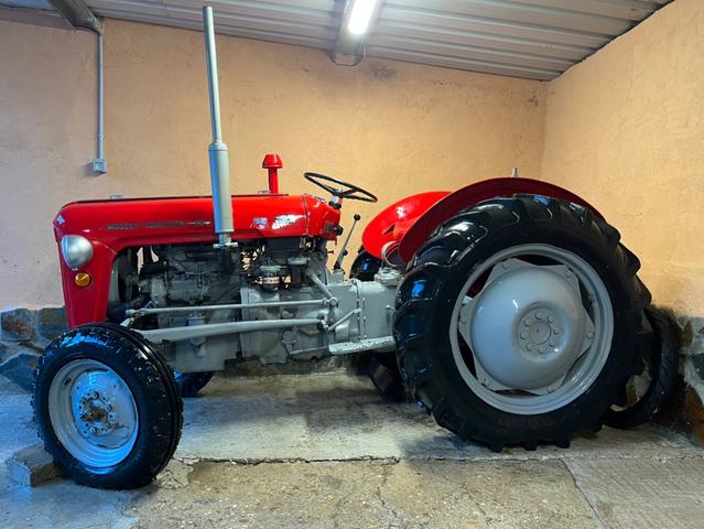 Milanuncios - Massey-Ferguson. 35 - 35