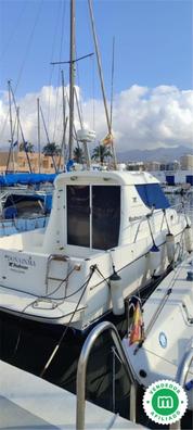 Milanuncios - RODMAN 810