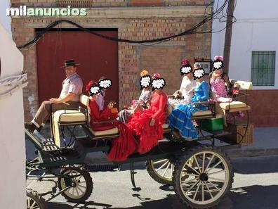 MILANUNCIOS | Carro Mulas. Compra venta de mulas al mejor precio y adopción