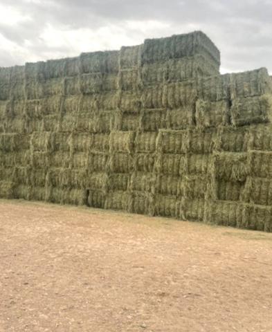 Milanuncios - Heno natural, paja y avena en rama