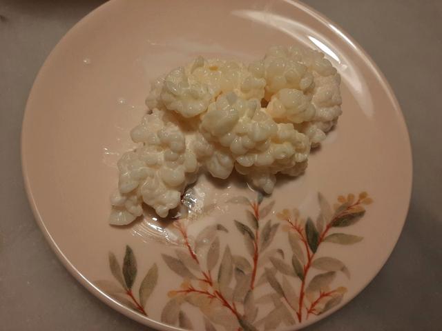 Milanuncios - REGALO KEFIR DE LECHE