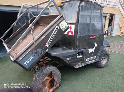 Buggies de segunda mano | Milanuncios