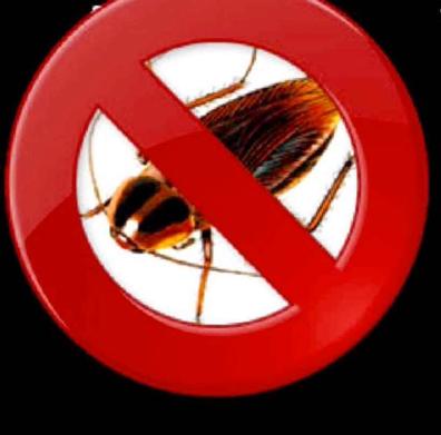 Milanuncios - stop plagas