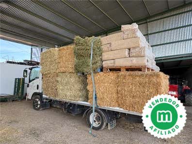 Paja de avena | Milanuncios