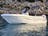 Milanuncios - Barco 5,7m Trimarchi 57s Selva 115hp