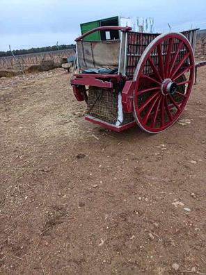 Carro antiguo mulas | Milanuncios
