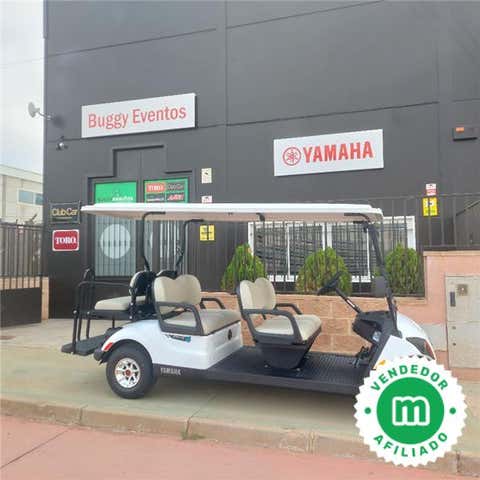 Milanuncios - Buggy de transporte de personas