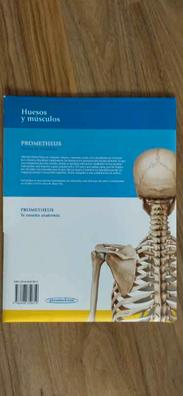 Milanuncios - Posters Anatomía PROMETHEUS