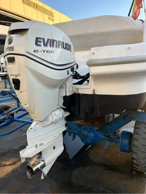 Milanuncios - Motor Fueraborda Evinrude E Tec 115 CV