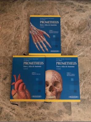 Prometheus anatomia | Milanuncios
