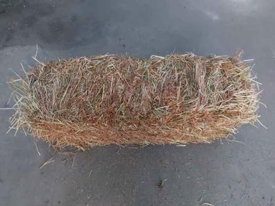 Milanuncios - Heno para caballos de primer corte