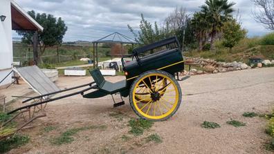 MILANUNCIOS | Charret Carruajesse segunda mano . Compra venta de coches ...