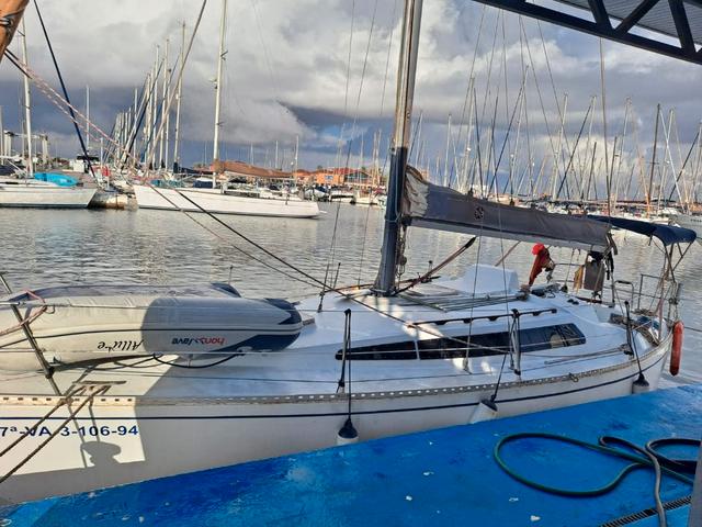 Milanuncios - Barco Puma 29 bandera polaca