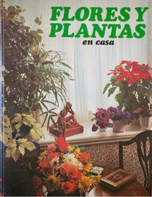 Milanuncios - FLORES Y PLANTAS EN CASA. Violet Stevens