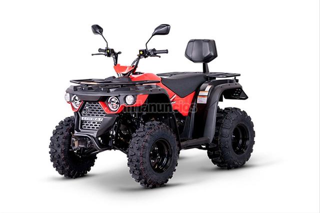 Milanuncios - LINHAI - M210 FEi