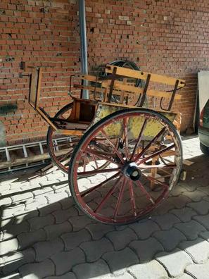 Mulas en venta | Milanuncios