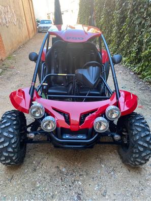 Buggies buggy pgo 250 de segunda mano y ocasión | Milanuncios
