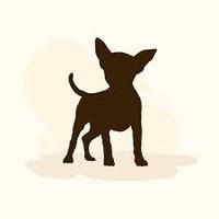 Milanuncios - Chihuahua micro blue