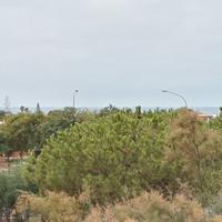 Milanuncios - Carta de Pokémon Krokorok, número 079/15