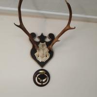 Milanuncios - Malcor - 125 XL