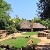 Milanuncios - Pantalon Zara Basic ancho negro