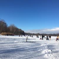 Milanuncios - Wii Party - Nintendo Wii